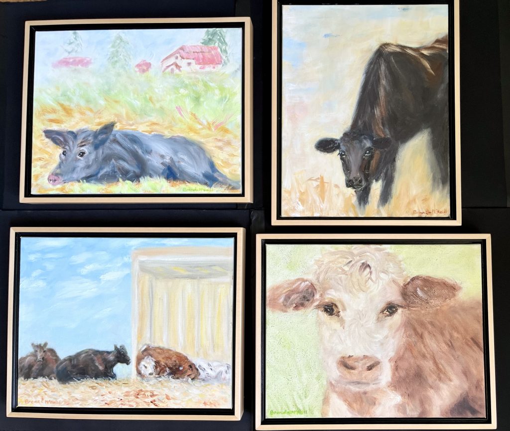 Rescue Animals in Napa Valley • Art of Leisure